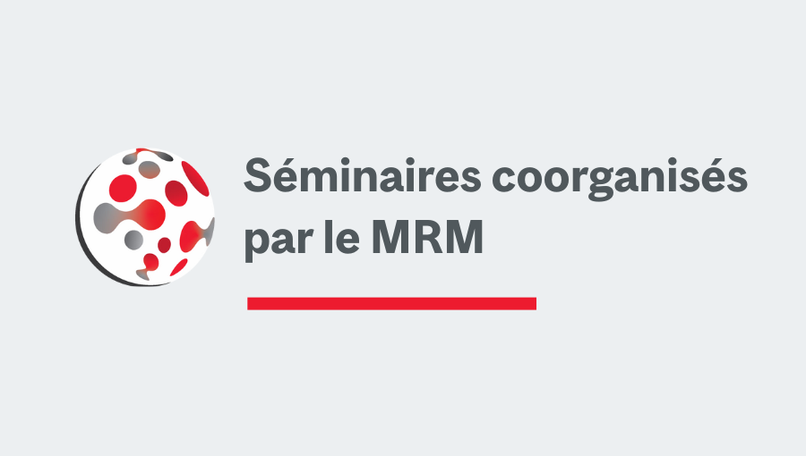Appel à candidatures : séminaires coorganisés par le MRM en 2025 | MRM